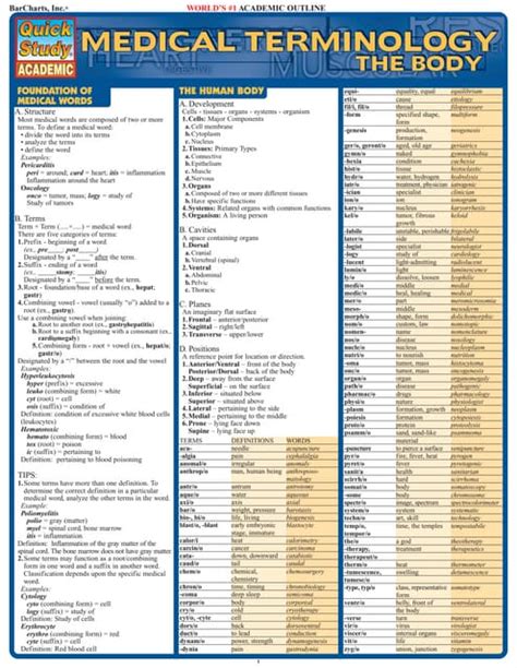 Medical Term List Pdf