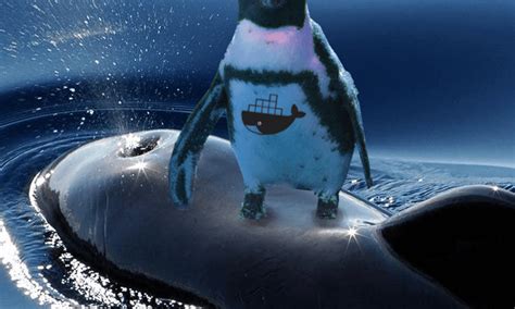 Online Course Manage Docker On Linux Servers From Coursera Project