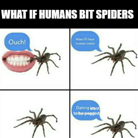 Zaaaamnnnn Spider Be Pegglin Rokbuddyretard Okbuddyretard Know
