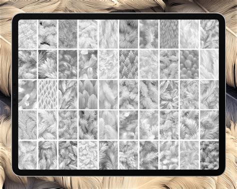 100 Seamless Procreate Feather Textures Bird Feather Texture Brushes Feather Fur Brush