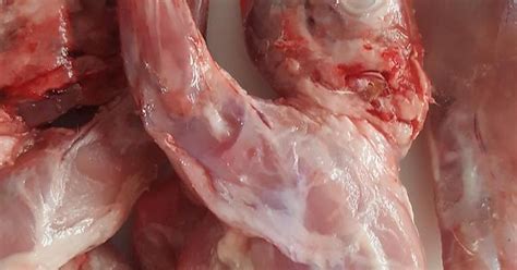 This Is A Skinned Rabbit Album On Imgur