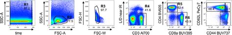 Murine Cd4 And Cd8 T Cells Sample Gating Tree For The Identification