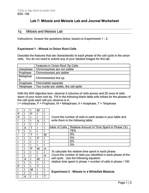 Bsc 108 Lab7 Mitosis And Meiosis Lab And Journal Worksheet Click Or Tap Here To Enter Text