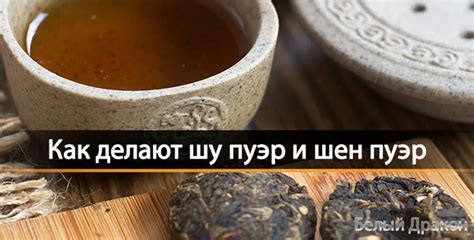 Виды пуэра и свойства, польза и вред, чем отличаются, как заваривать
