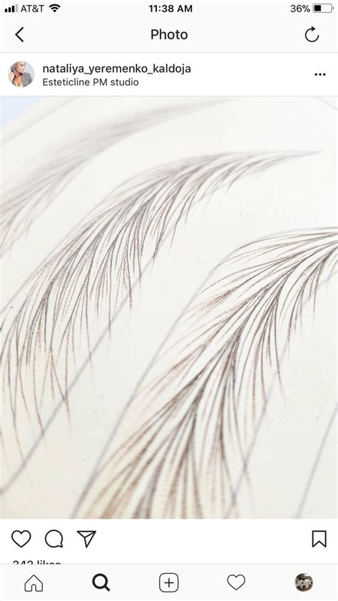 Pin By Laura Young On Brows Eyebrow Design Microblading Microblading Eyebrows