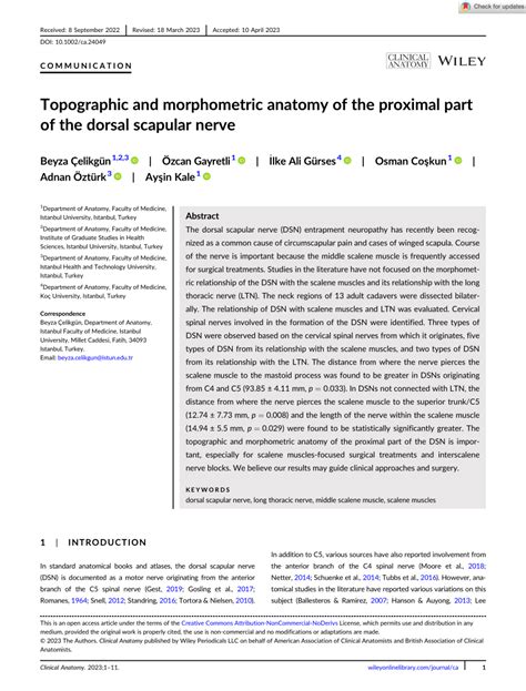 Pdf Topographic And Morphometric Anatomy Of The Proximal Part Of The
