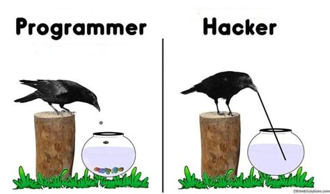 programmer vs hacker 9gag