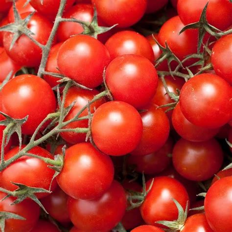 Rick Essenberg Youtube