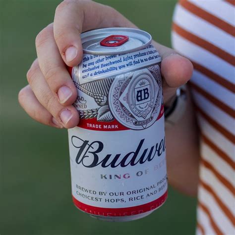 The Best Cheap Beer Brands Ranked [we Tested 28 ]