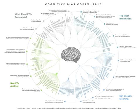 Cognitive Bias Codex The Big Picture
