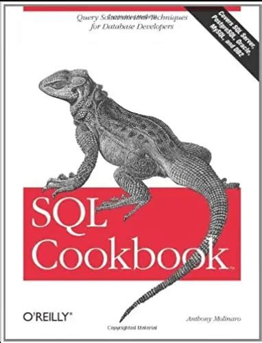 Best Microsoft Sql Server Books For 2025 Computingforgeeks
