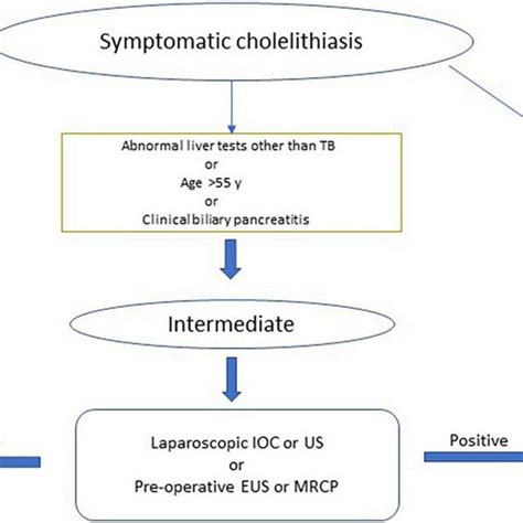 Choledocholithiasis Management Algorithm Based On The 2010 Asge Download Scientific Diagram