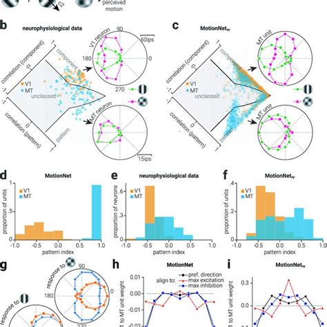 Biological And Artificial Visual System Direction Selectivity A