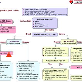 ECG Of A Broad Complex Tachycardia Download Scientific Diagram