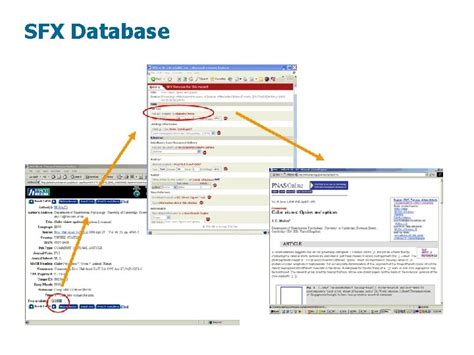 SFX Database Structure SFX Training The Flow