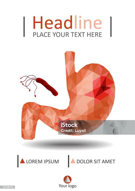 현실적인 낮은 폴 리 인간의 위장과 십이지 장 커버 디자인 위 궤 양 질환 헬리코박터 파일로리 박테리아를 공격 연례 보고입니다