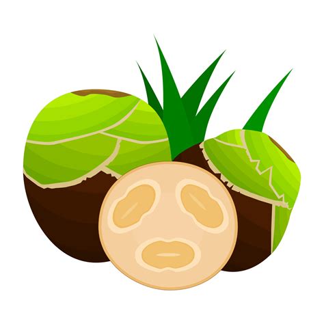 Atep Fruit Is A Fruit That Is Commonly Found In Southeast Asia Which Is