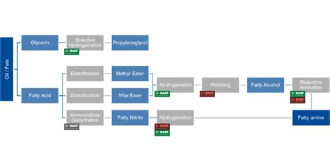 Oleochemical Catalysts Basf Catalysts