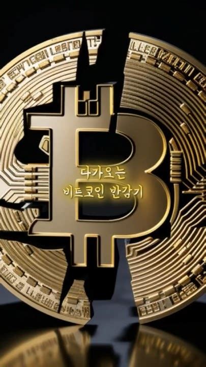 비트코인 반감기 D 1 비트코인 암호화폐 반감기 비트코인투자 Youtube