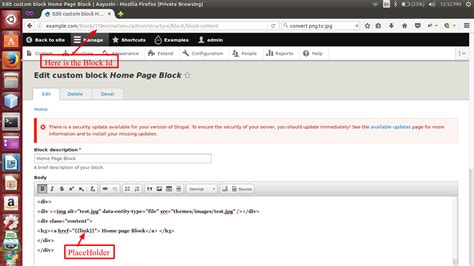 How To Programmatically Replace The Content In The Custom Block In
