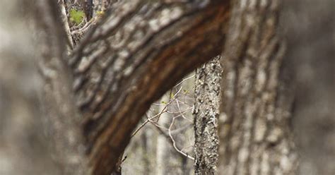 Любовь к природе | Пикабу