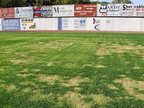 Iaturf Annual Bluegrass Poa Annua Control So Where Do We Stand In 2014