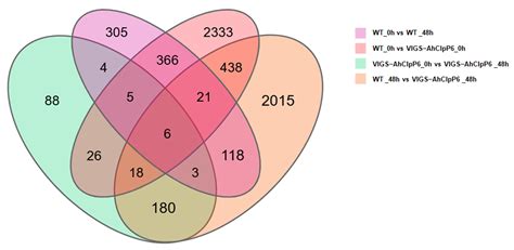 Knockdown Of Adenosine 5′ Triphosphate Dependent Caseinolytic Protease Proteolytic Subunit 6