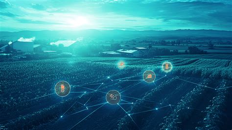 How Decentralized Identities Ensure Data Integrity Filancore