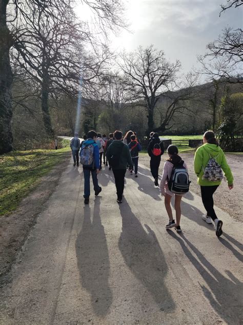Excursiones Y Actividades Sexto A Ceip RamÓn Laza CabezÓn De La Sal