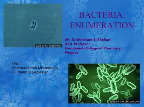 Bacterial Count Method To Count Bacteria Ppt