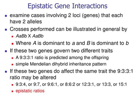 Ppt Epistatic Gene Interactions Powerpoint Presentation Free Download Id306377