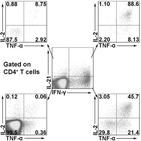 Polyfunctional Il 21 Ifn γ Cd4 T Cells Following E C Peptides