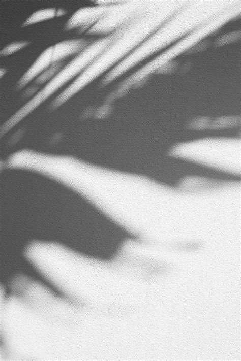 Primal Question Assesment — Seven Primal Questions