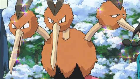 13 Facts About Doduo