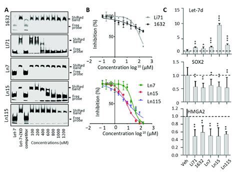 Lin28 Inhibitors Block The Lin28a Isoform A Emsa Used 10 Nm Of Download Scientific Diagram