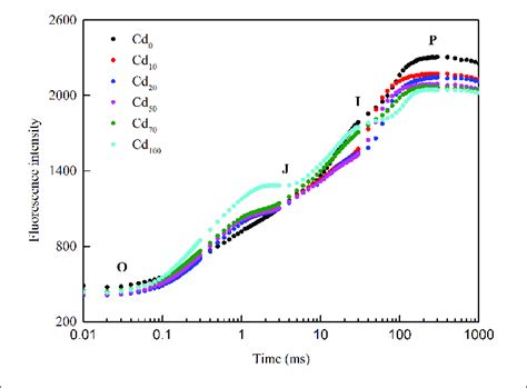 The Fluorescence Intensity Of The Original Fluorescence Kinetic Curve
