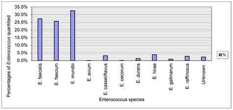 Enterococcus Species