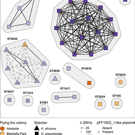 Network Graph Showing Pairwise Snv Distances Between Isolates Of The