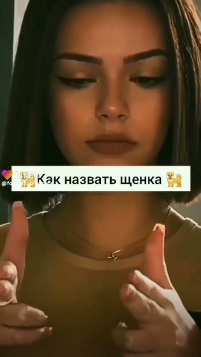 имена для щенка собаки Youtube