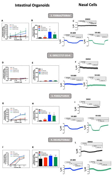 Comparison Of Cftr Rescue By Cftr Modulators In Phnes And Intestinal Download Scientific