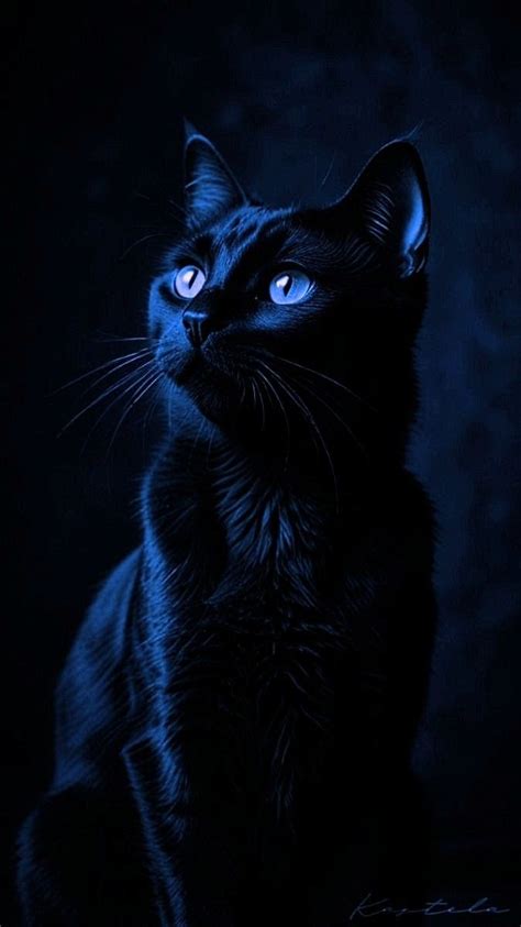 Pin By Océane Moulin On Ateliers Océane Cat With Blue Eyes Black Cat