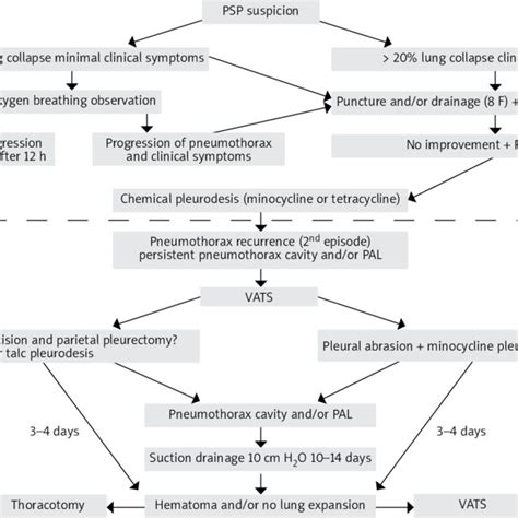 The Proposed Management Scheme For PSP Patients Download Scientific Diagram
