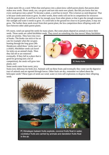 Plant Fertilisation And Reproduction Ks3 Biology Teaching Resources