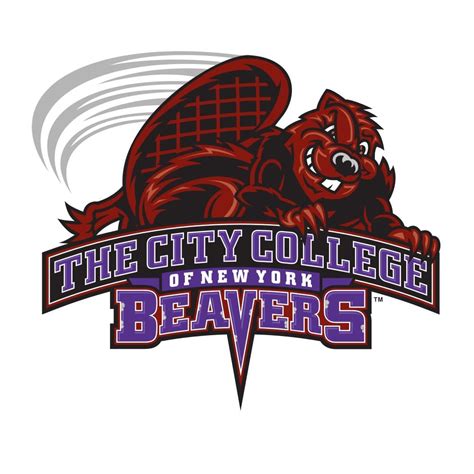 New York College Logo