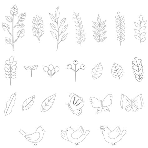 Premium Vector Line Flower Object