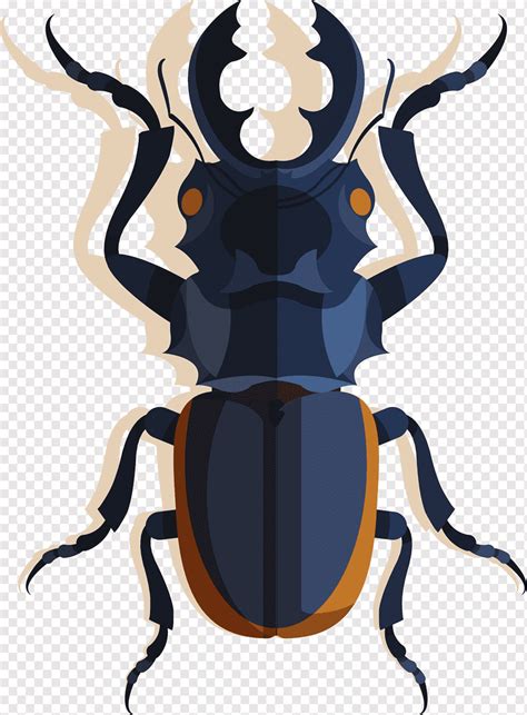 Insect Bug Png Pngwing