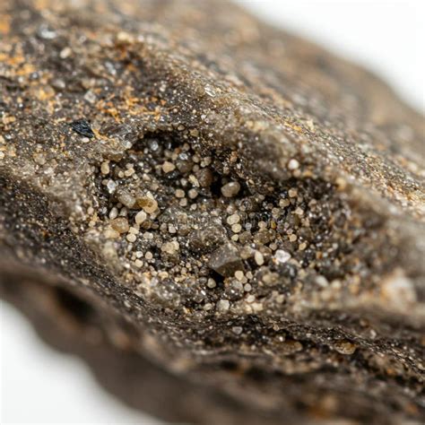 Embedded Grains Stock Illustrations 124 Embedded Grains Stock