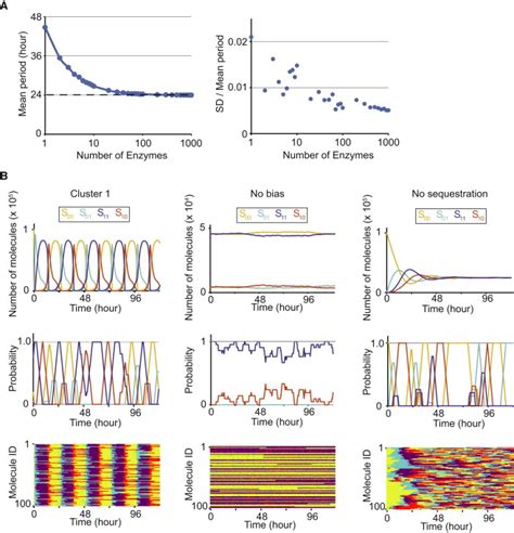 Coupling Of Single Molecule Oscillators Is A Design Principle Download Scientific Diagram