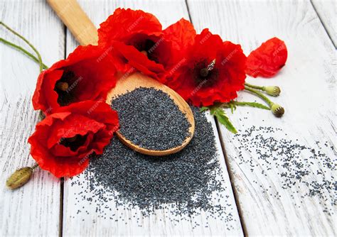 Premium Photo Poppy Seeds And Flowers