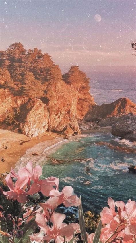 Red Nature Lockscreens Tumblr Rosas Rojo Vivo Fondos De Pantalla